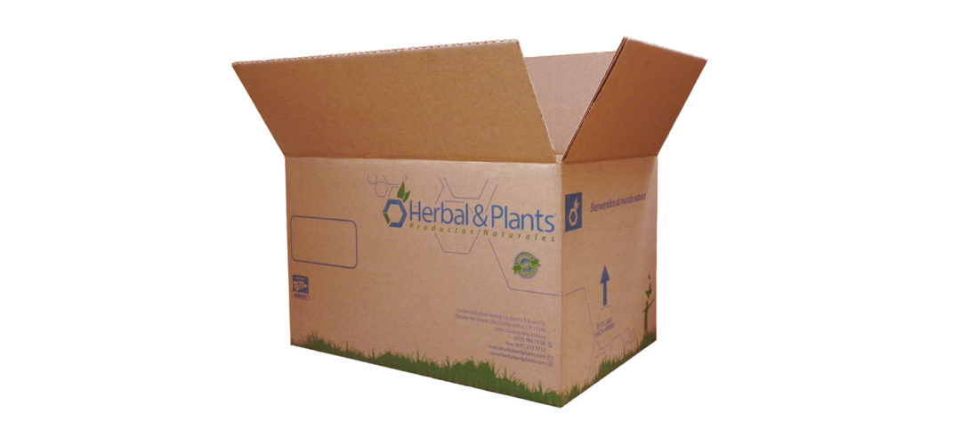 Caja Regular Ranurada - Proveedor de cajas de carton con separadores ...